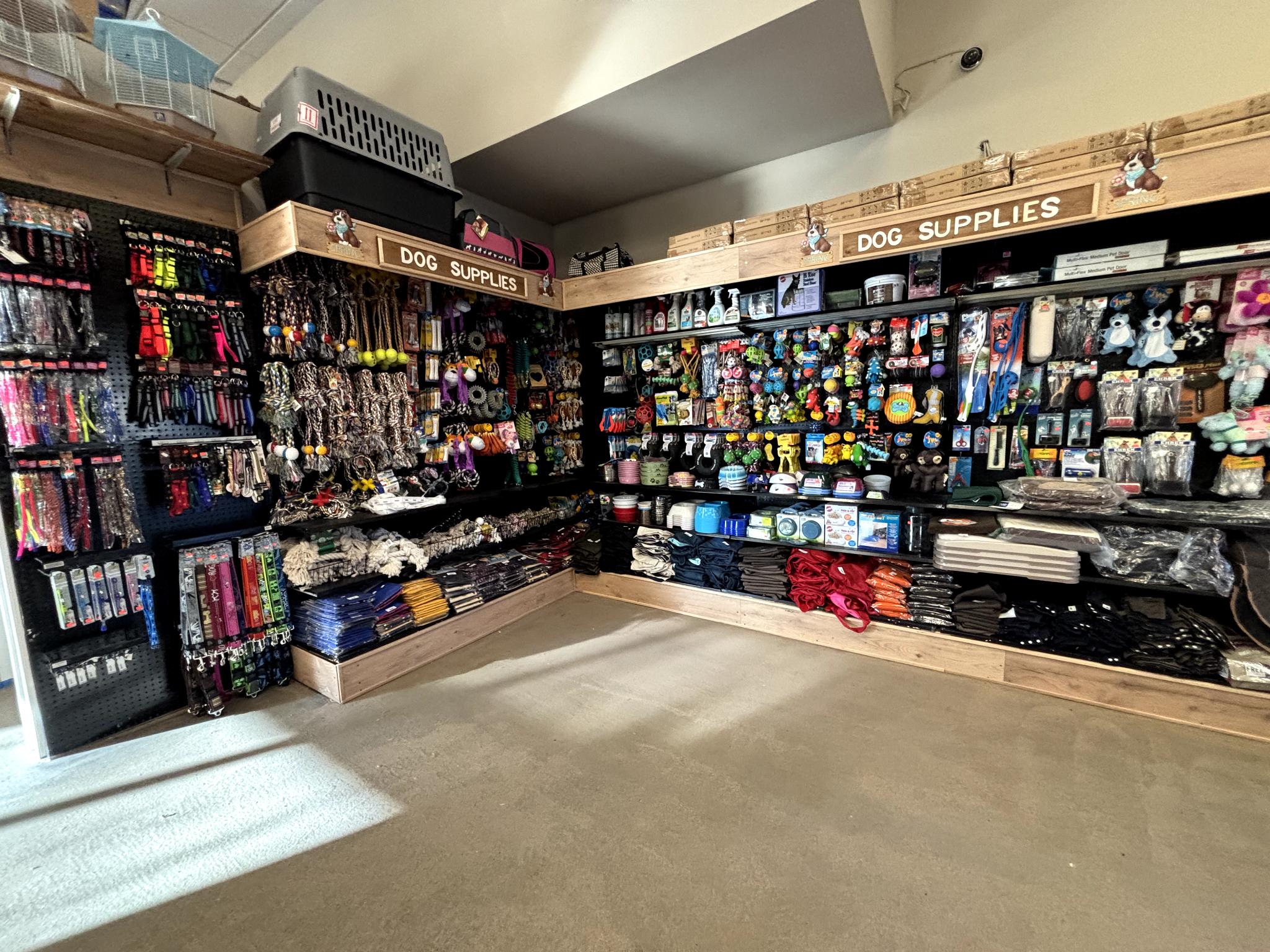 Buddies Bubbles Inc.