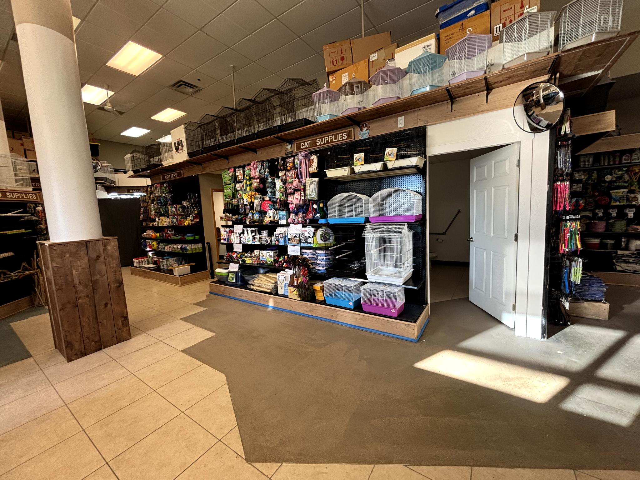 Buddies Bubbles Inc.