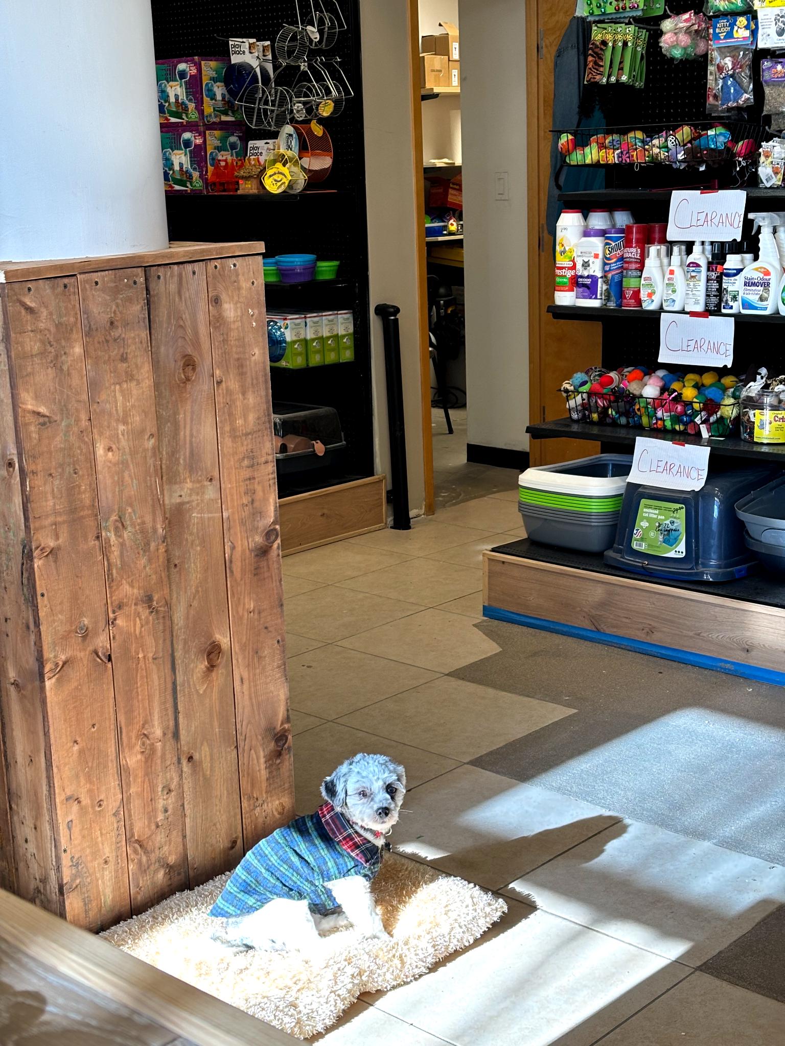 Buddies Bubbles Inc.