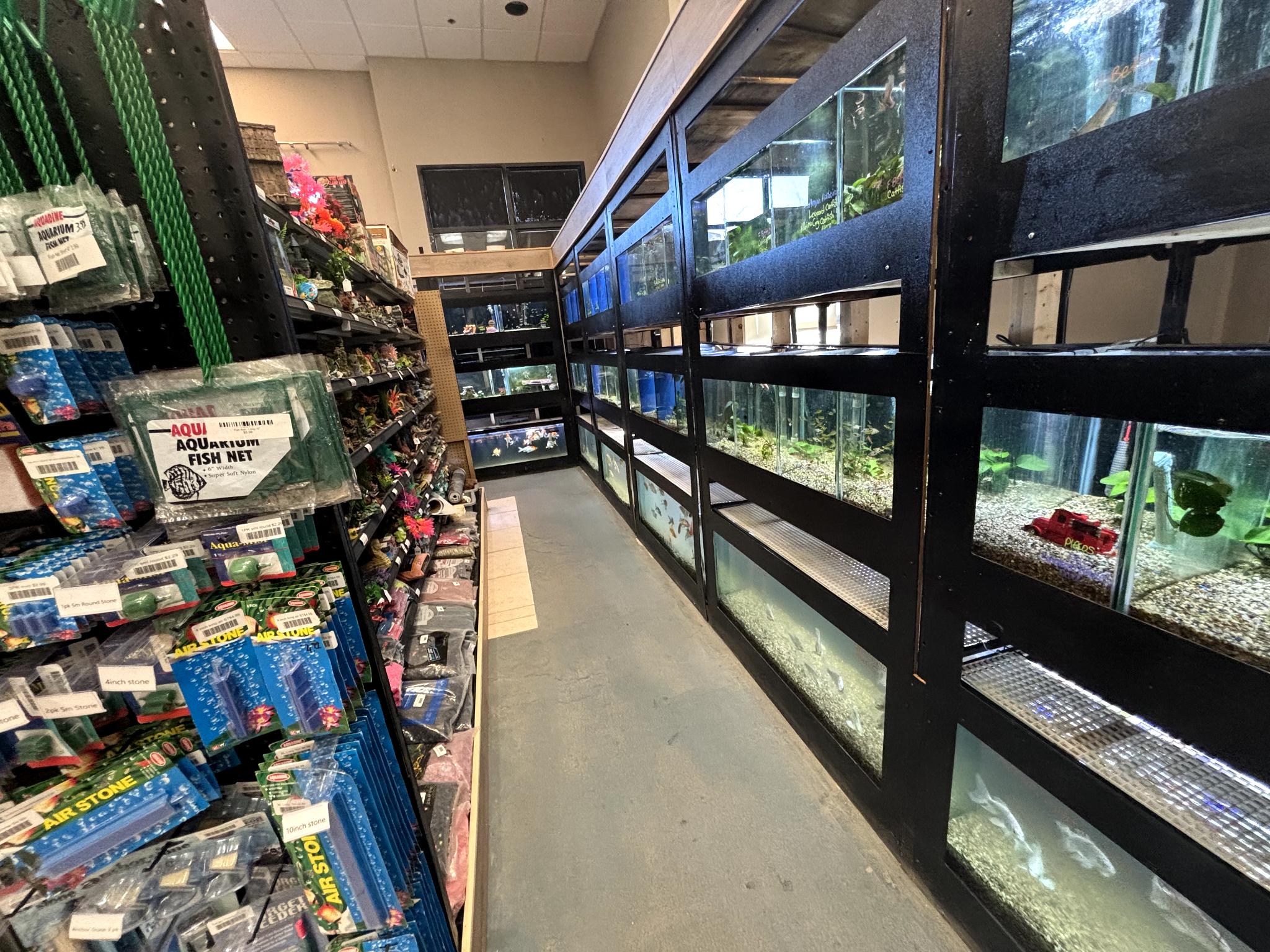 Buddies Bubbles Inc.