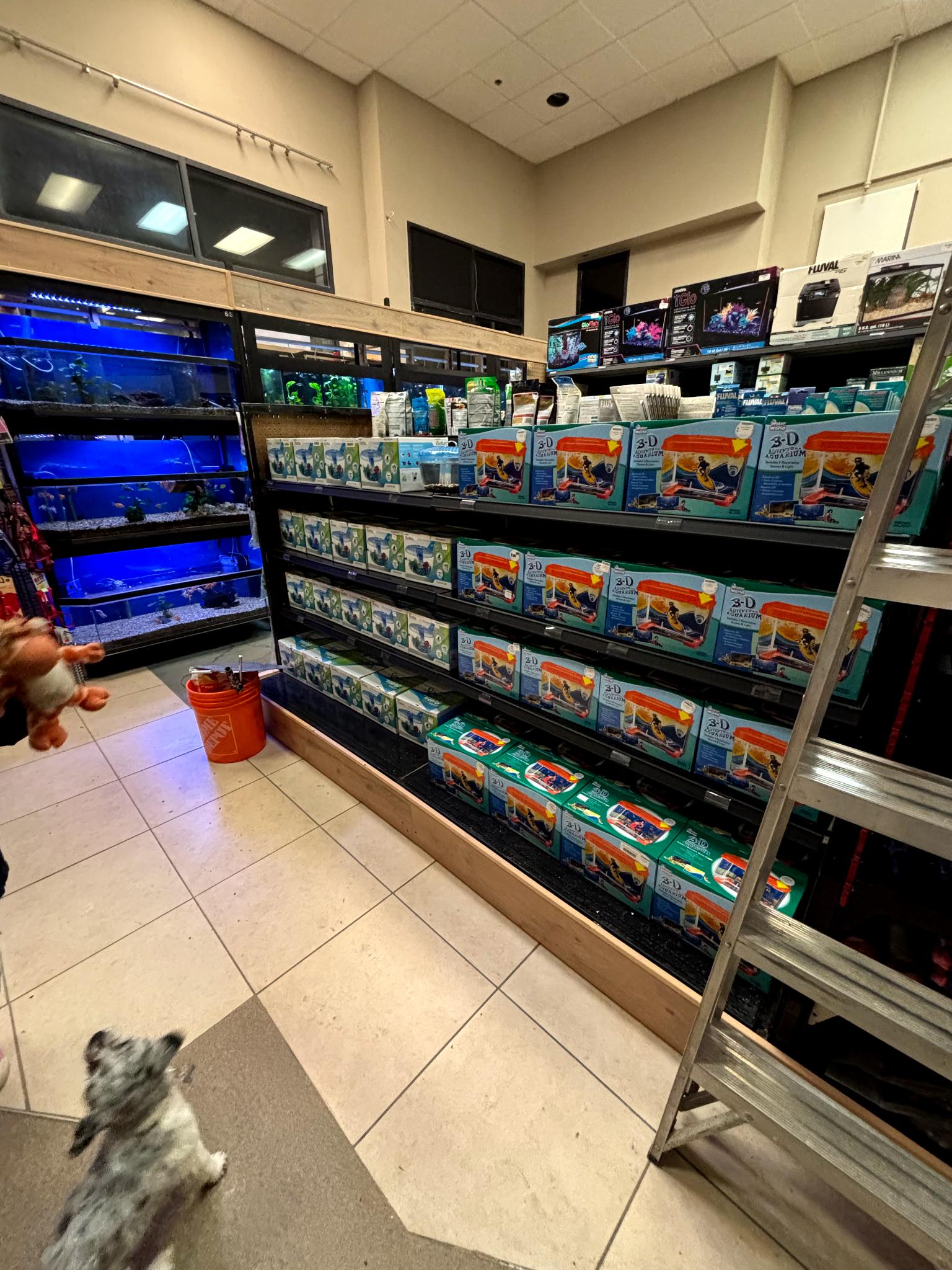 Buddies Bubbles Inc.